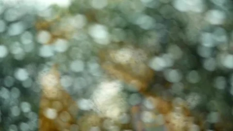 Soft99 Rain Drop Stock Videos – Royalty-Free HD & 4K Videos | Pond5