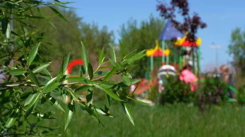 Kids Summer Background Stock Videos – Royalty-Free HD & 4K Videos