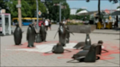 Penguin Famous Stock Videos – Royalty-Free HD & 4K Videos | Pond5