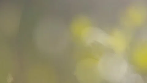 Blurred out shot of Yellow and Grey obje... | Stock Video | Pond5