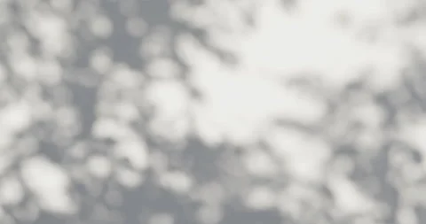 Blurred shadows of tropical plants shadi... | Stock Video | Pond5