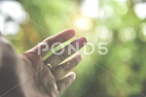 Blurry Woman's hand Open palm to the blur green bokeh nature ~ Premium ...
