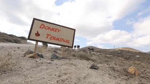 Board showing direction to donkey termin... | Stock Video | Pond5