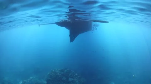 Boat Casting Shadow Over Reef | Stock Video | Pond5