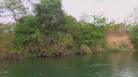 boat going up the river view from the tr... | Stock Video | Pond5