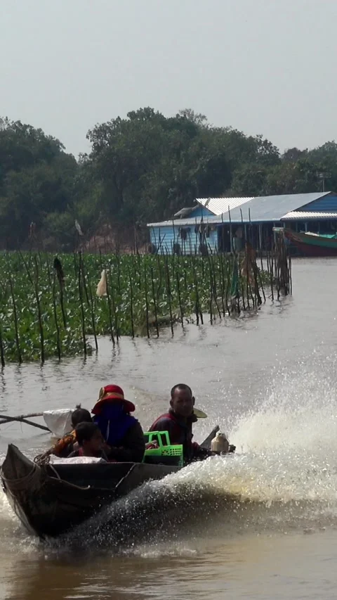 Pono Videos Stock Videos – Royalty-Free HD & 4K Videos