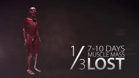 Body Animation Stock Video Footage | Royalty Free Body Animation Videos ...