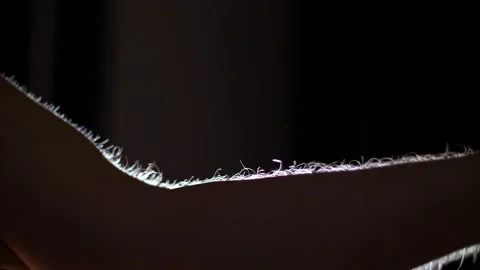Body Hair Male Stock Videos – Royalty-Free HD & 4K Videos