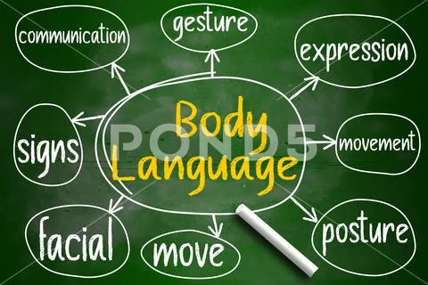 Body language mind map written on chalkboard Illustration #210046396