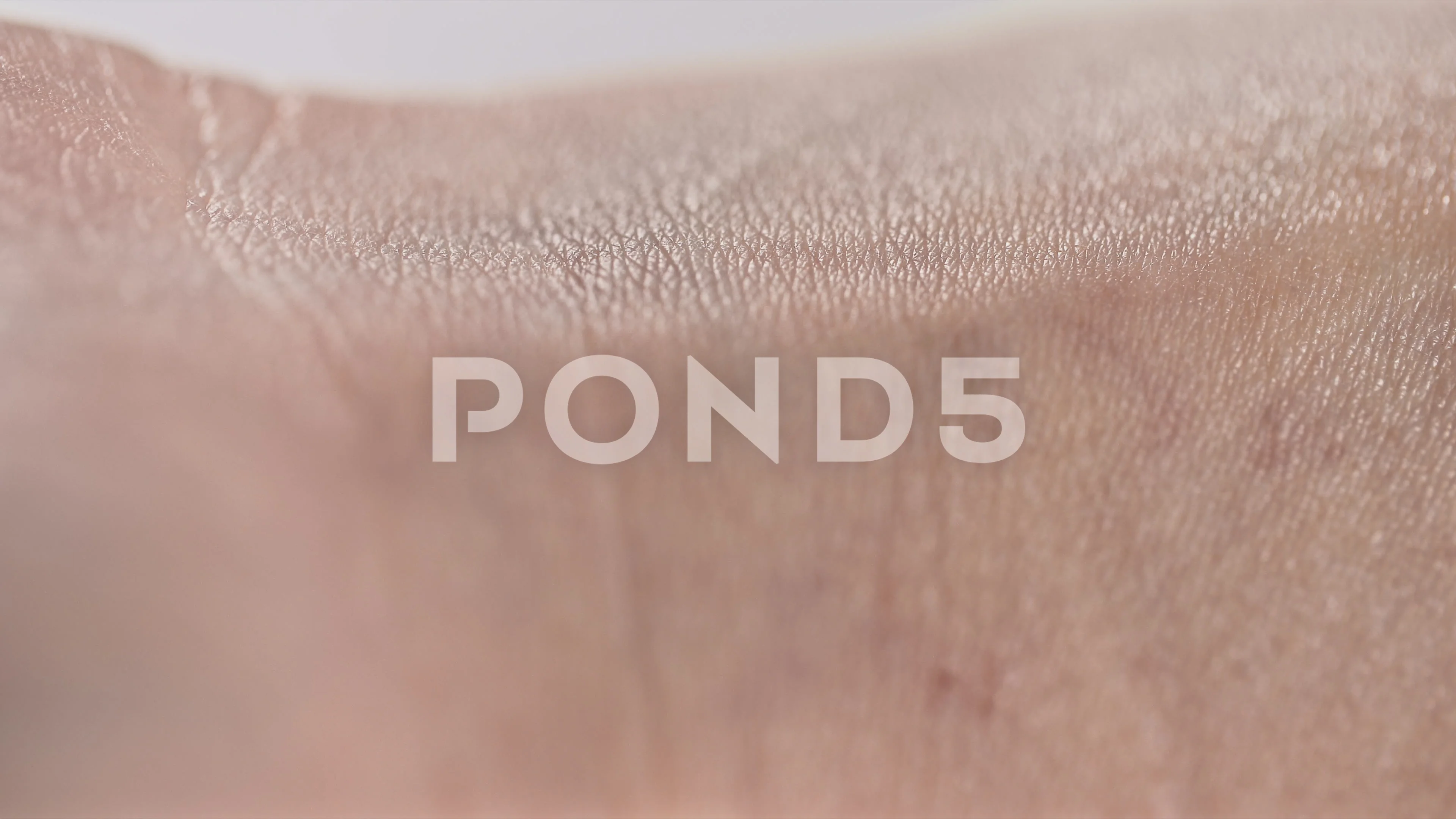 Human Body Skin Textures