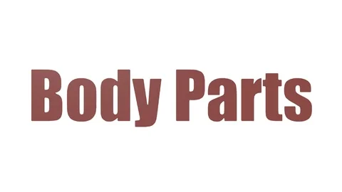 Body Parts Animated Stock Videos – Royalty-Free HD & 4K Videos
