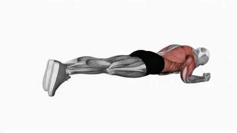 Male Body Blog Stock Videos – Royalty-Free HD & 4K Videos