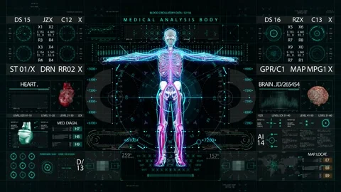 Body skeleton medical HUD interface disp... | Stock Video | Pond5
