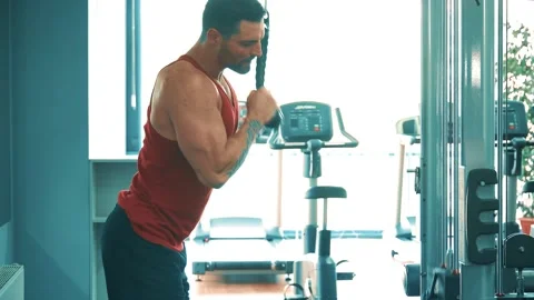 Bodybuilder in gym train arms triceps mu... | Stock Video | Pond5