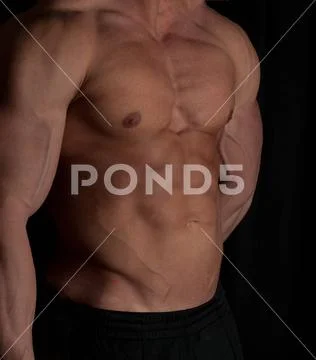 Bodybuilder Muscular male torso of bodybuilder on black background ...