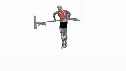 Male Muscle Anatomy Stock Videos – Royalty-Free HD & 4K Videos | Page 3