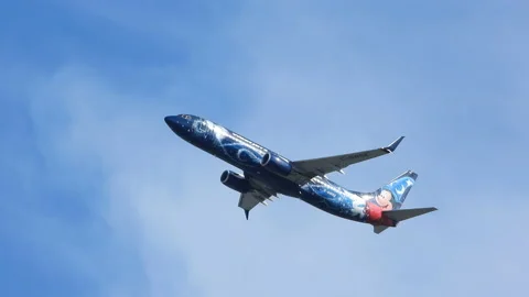 Boeing 737 airplane bright Disney livery... | Stock Video | Pond5