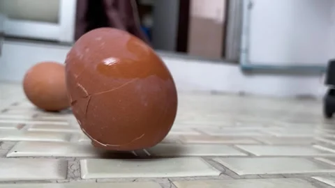 Cracked Egg Shell Stock Video Footage | Royalty Free Cracked Egg Shell Videos | Pond5