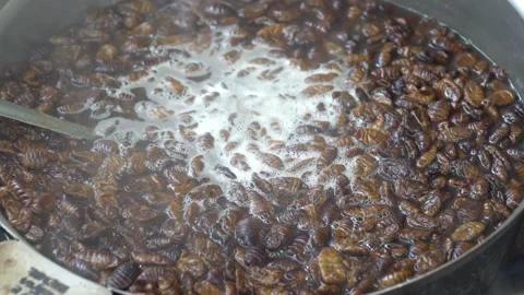 Boiling silkworm pupae in a pot. Korean ... | Stock Video | Pond5