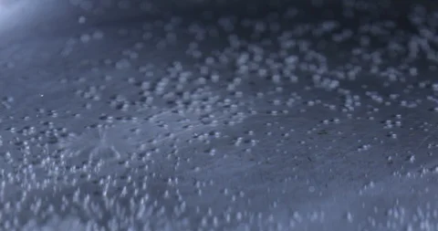 Boiling water surface in blue light | Stock Video | Pond5