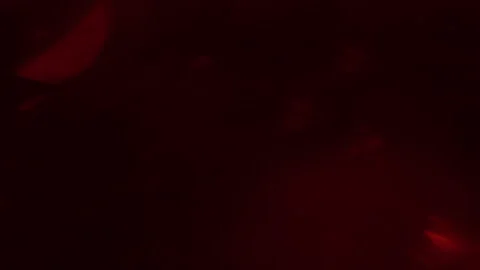 Bokeh Alpha Stock Video Footage | Royalty Free Bokeh Alpha Videos | Pond5