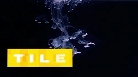 Bold Flip Tile Lower Thirds ~ After Effects #169515455