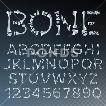 Bone Font Vector. Letters Anatomy. ABC Alphabet. Skeleton Style. Hell ...