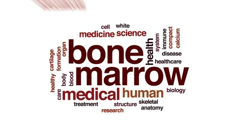 Bone marrow animated word cloud, text de... | Stock Video | Pond5