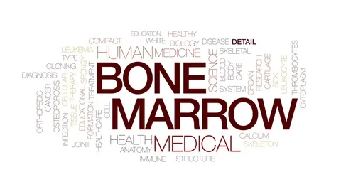 Bone marrow animated word cloud, text de... | Stock Video | Pond5