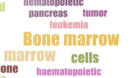 Bone Marrow 3D Stock Video Footage | Royalty Free Bone Marrow 3D Videos ...