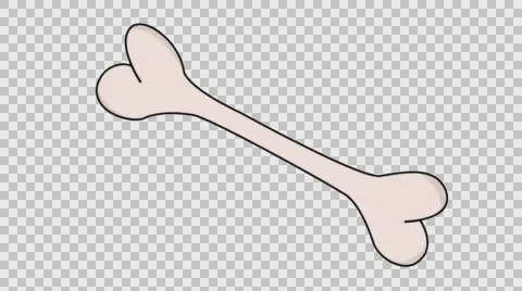 bone medical sketch illustration hand dr... | Stock Video | Pond5