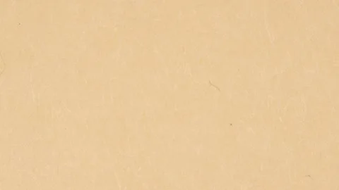 Bone Paper Background Texture Seamless L... | Stock Video | Pond5