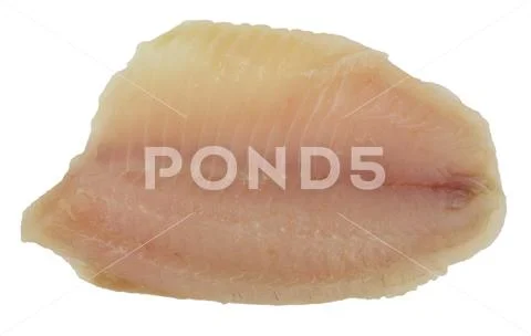 Boneless Tilapia fish filet on white background 3 - left side Stock ...