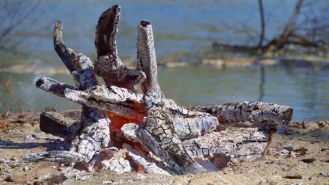 bonfire burning on the river bank, brigh... | Stock Video | Pond5