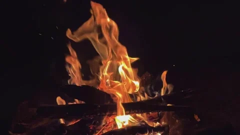 Bonfire at dusk. Camping in the forest. ... | Stock Video | Pond5