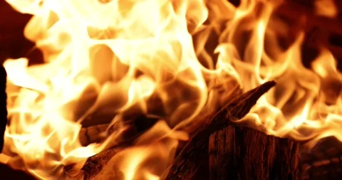 Bonfire fire, Real Flames Ignited On A B... | Stock Video | Pond5