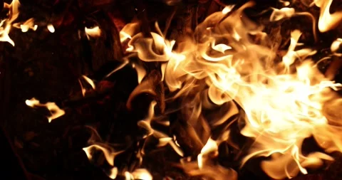 Bonfire fire, Real Flames Ignited On A B... | Stock Video | Pond5
