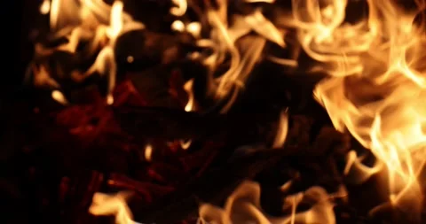 Bonfire fire, Real Flames Ignited On A B... | Stock Video | Pond5