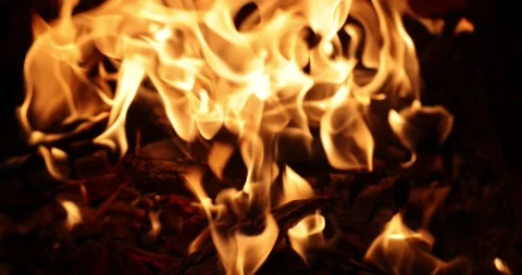 Bonfire fire, Real Flames Ignited On A B... | Stock Video | Pond5