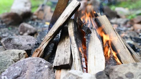 Sound Campaing Stock Videos – Royalty-Free HD & 4K Videos | Pond5