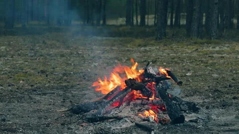 A Bonfire in the Forest - Slow Motion | Stock Video | Pond5