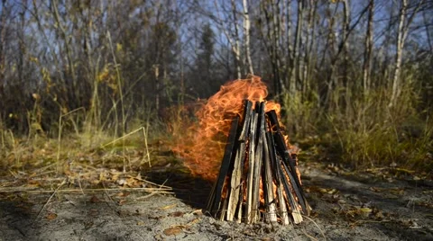 bonfire in the open air | Stock Video | Pond5