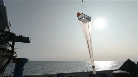 Bongo Plankton Nets Stock Video Footage | Royalty Free Bongo Plankton ...