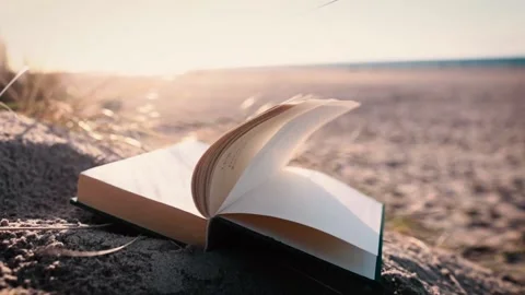 Free Videos Stock Video Footage | Royalty Free Free Videos Videos | Pond5