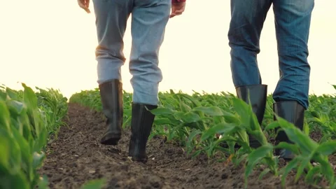 boots feet field, boots walk ground grou... | Stock Video | Pond5