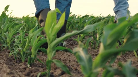 boots feet field, boots walk ground grou... | Stock Video | Pond5