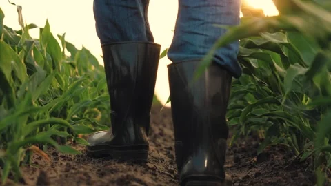 boots feet field, boots walk ground grou... | Stock Video | Pond5