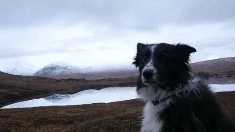 Cute Winter Border Stock Videos – Royalty-Free HD & 4K Videos