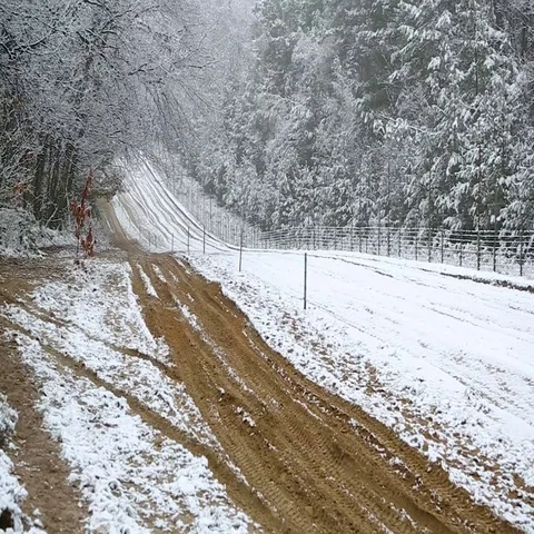 Make A Border Stock Videos – Royalty-Free HD & 4K Videos | Pond5