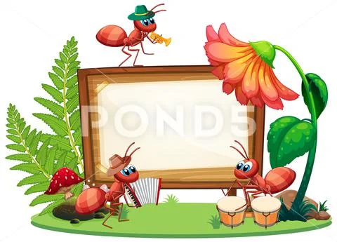 Border template design with insects in the garden background: Graphic ...